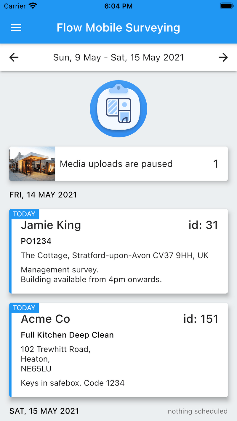 Flow Mobile Surveying